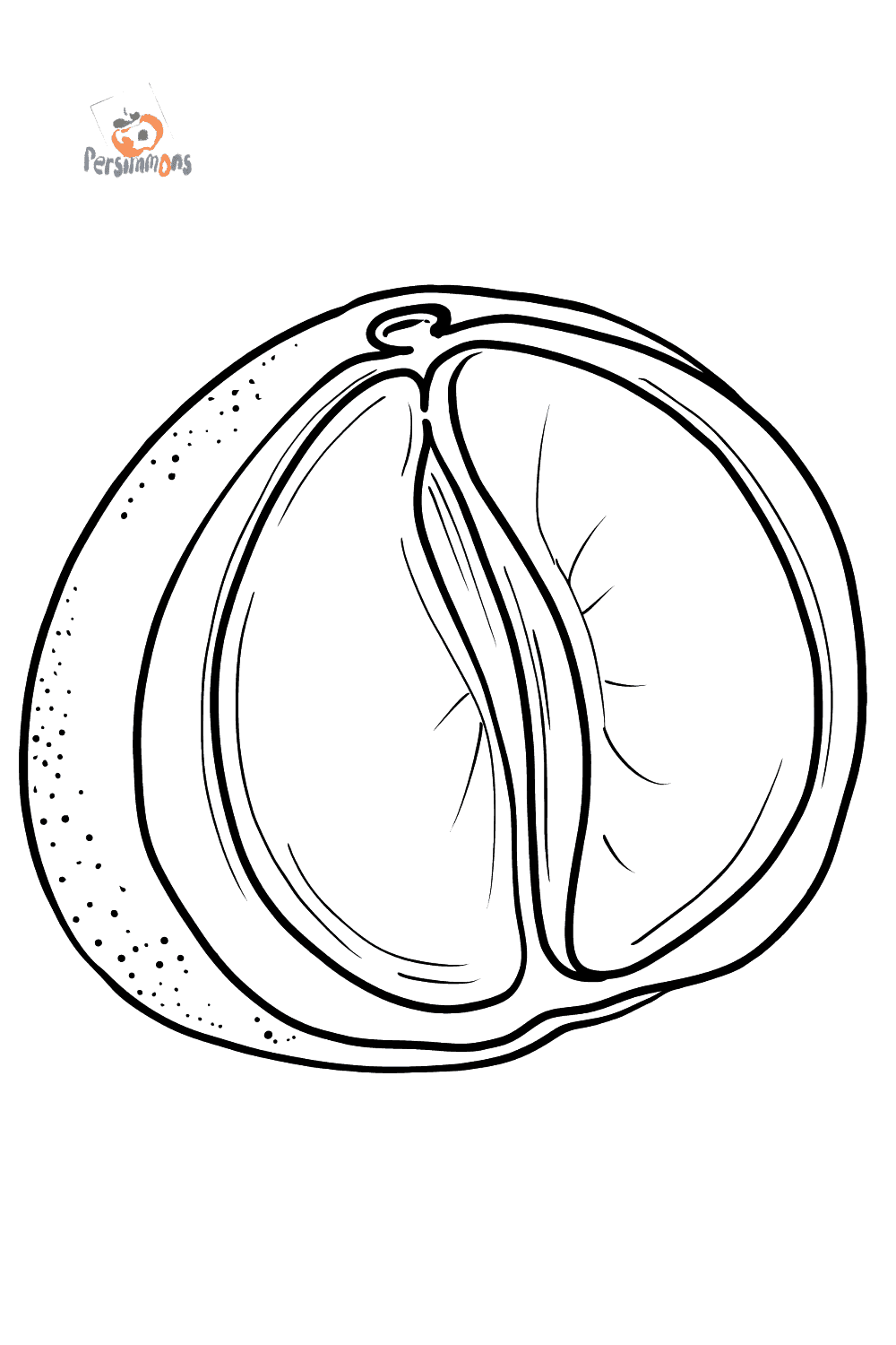 Pomelo coloring page for kids ♥ Online and Print for Free!
