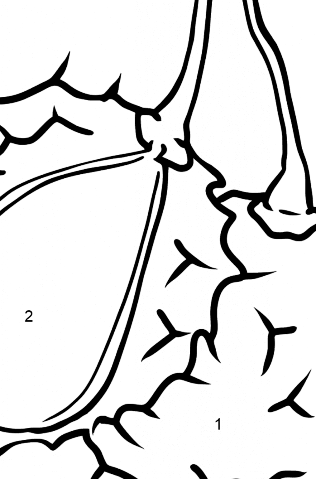 Rambutan coloring page for kids ♥ Online and Print for Free!