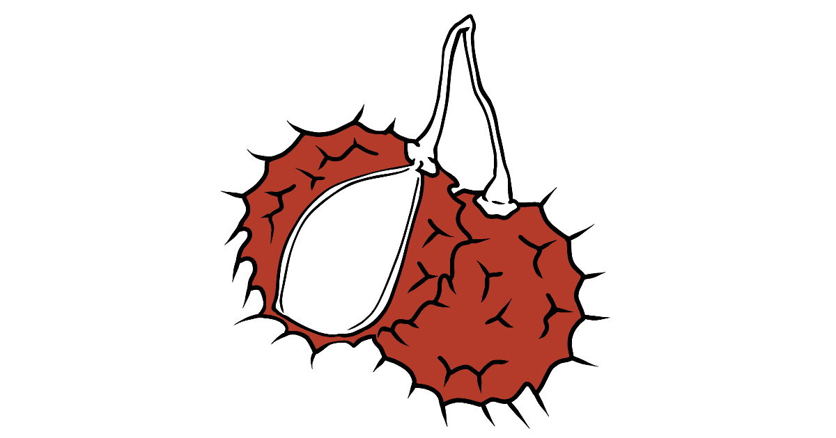 Rambutan coloring page for kids ♥ Online and Print for Free!