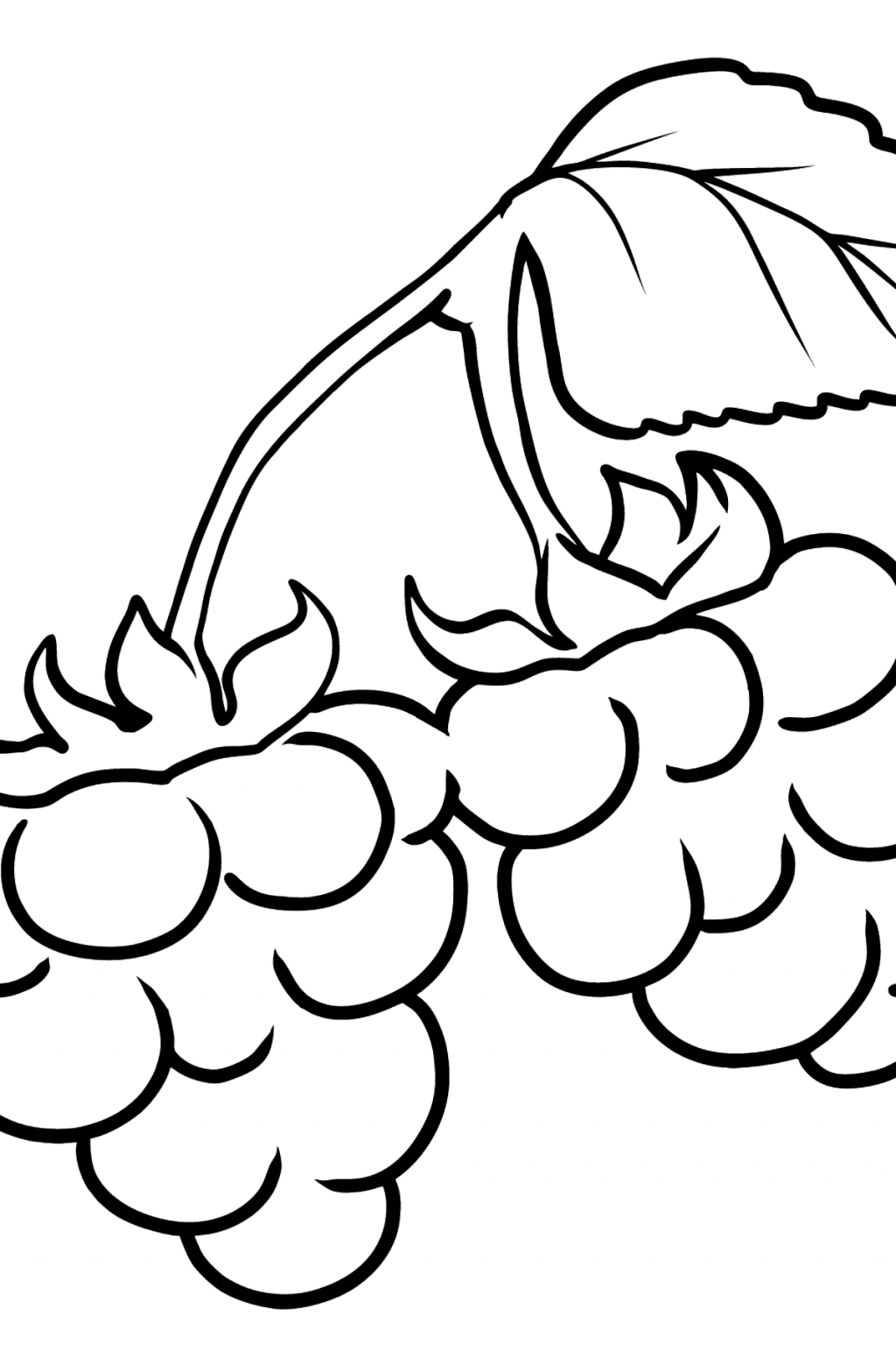 Raspberry coloring page for kids ♥ Online and Print for Free!