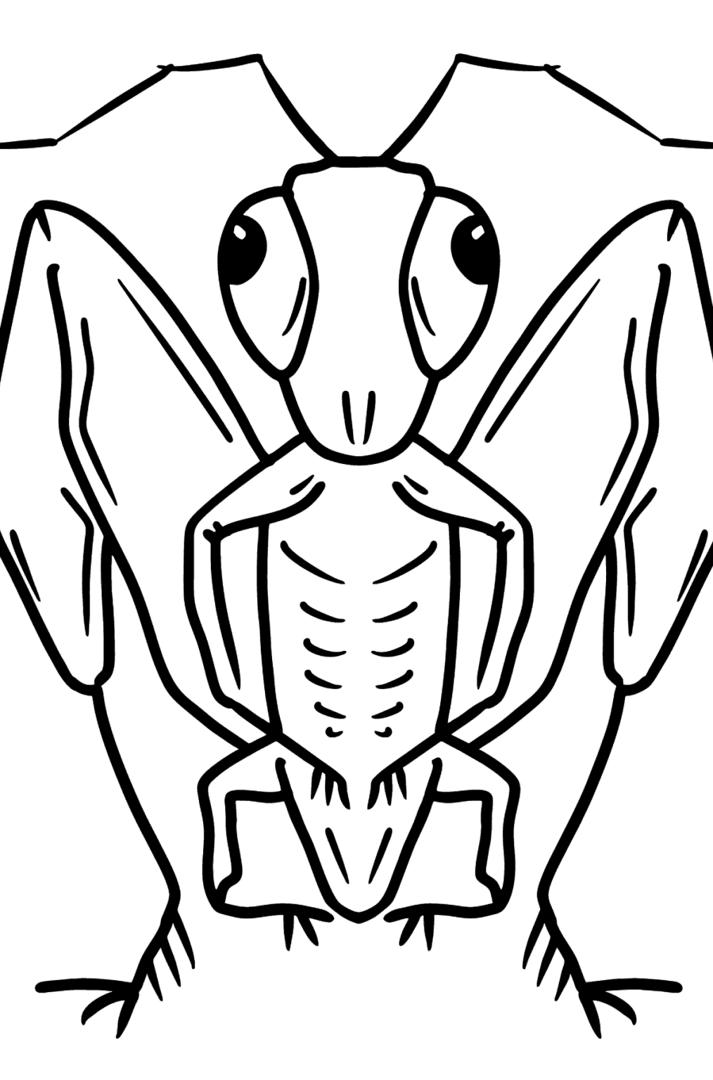 Grasshopper Coloring Page ♥ Print And Online Free