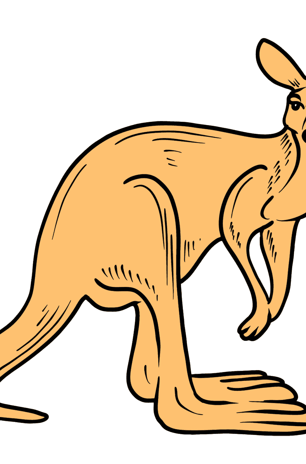 Omalovánka osel ♥ Online nebo Vytisknout Zdarma pro děti!