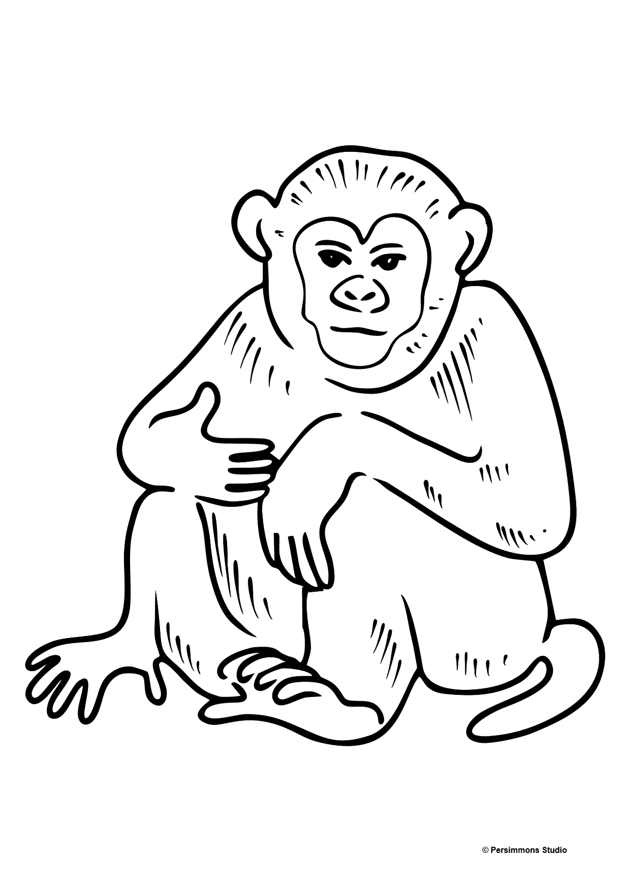 Monkey coloring page ♥ Color Online for Free!