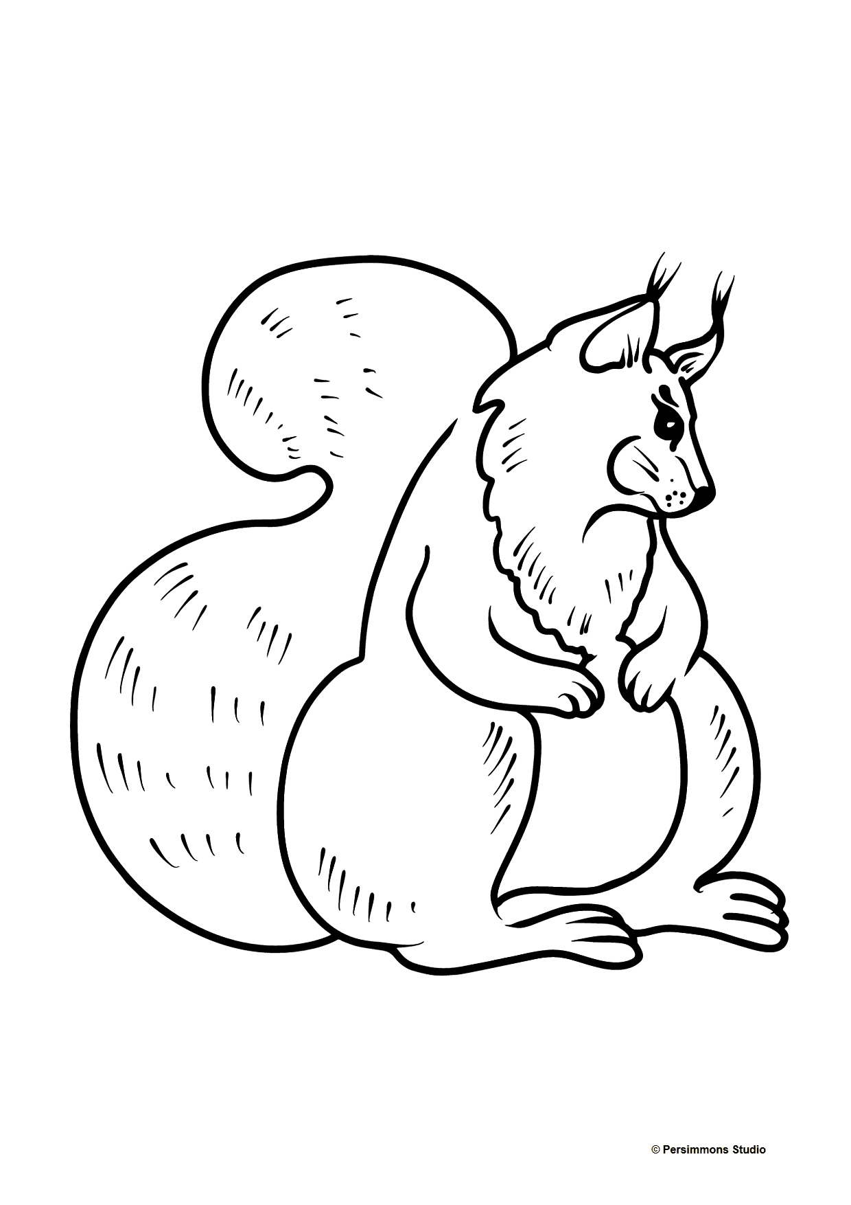 Squirrel coloring page ♥ Color Online for Free!