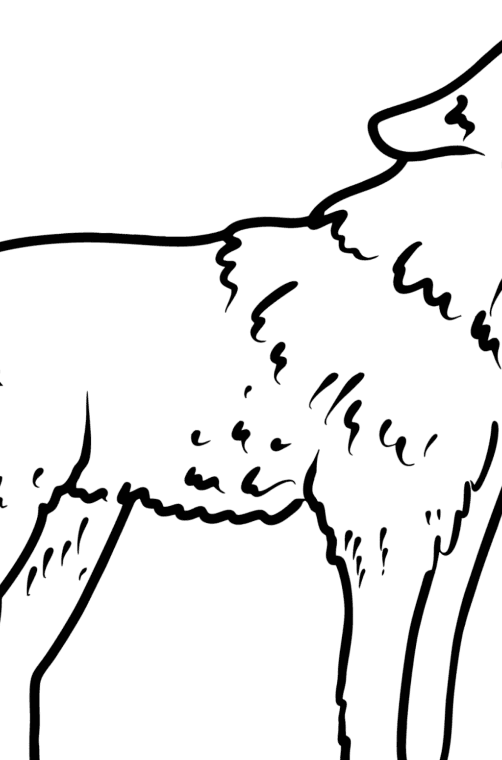 Tegning til fargelegging ulv ♥ Online og skrive ut gratis!