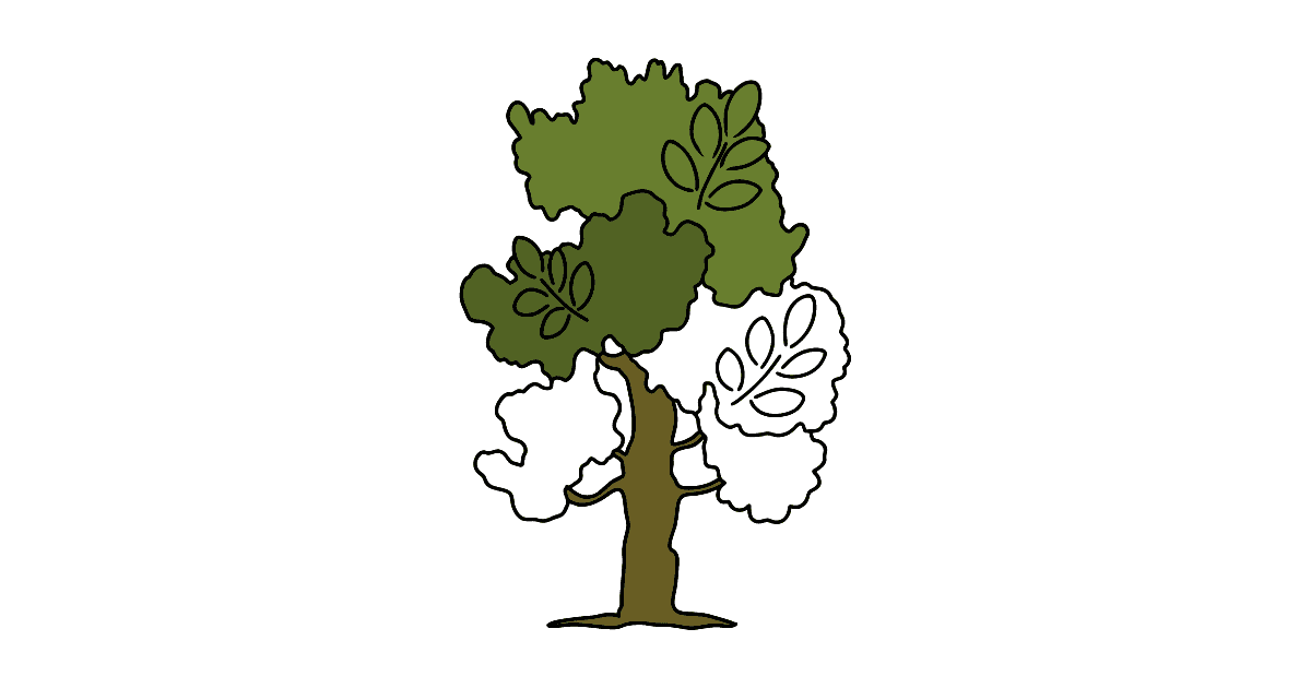 Ash Tree coloring page ♥ Online and Print for Free!