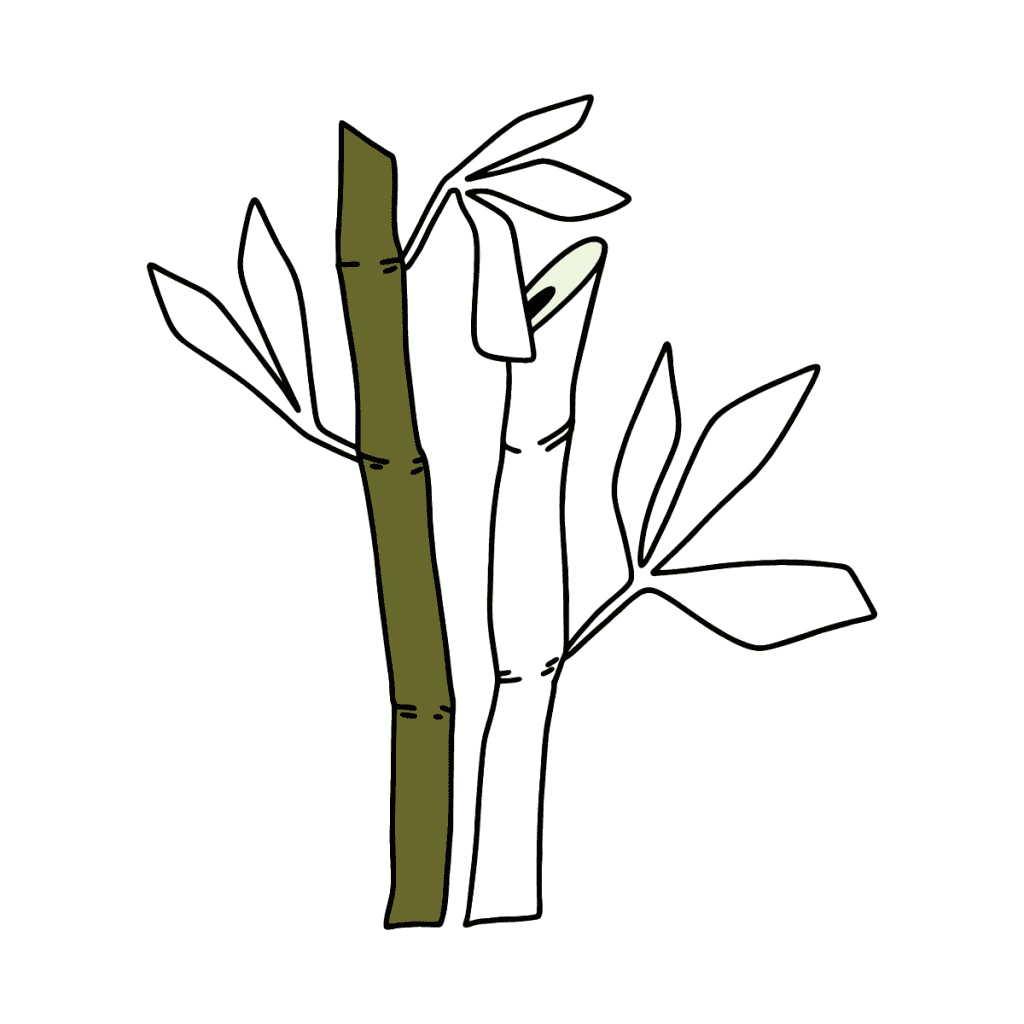 Coloring Pages For Kids - Printable for Free, and Color Online!