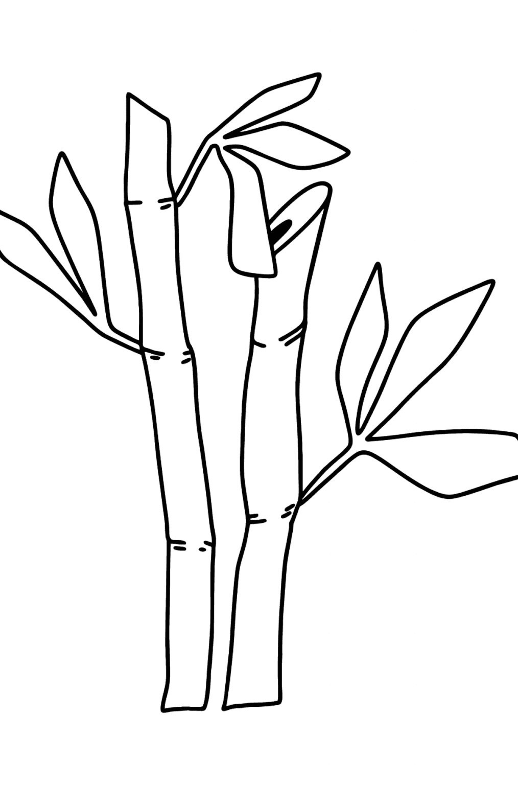 Bamboo coloring page for kids ♥ Online and Print for Free!