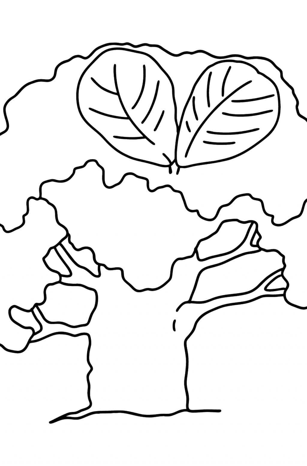 Beech coloring page for kids ♥ Online and Print for Free!