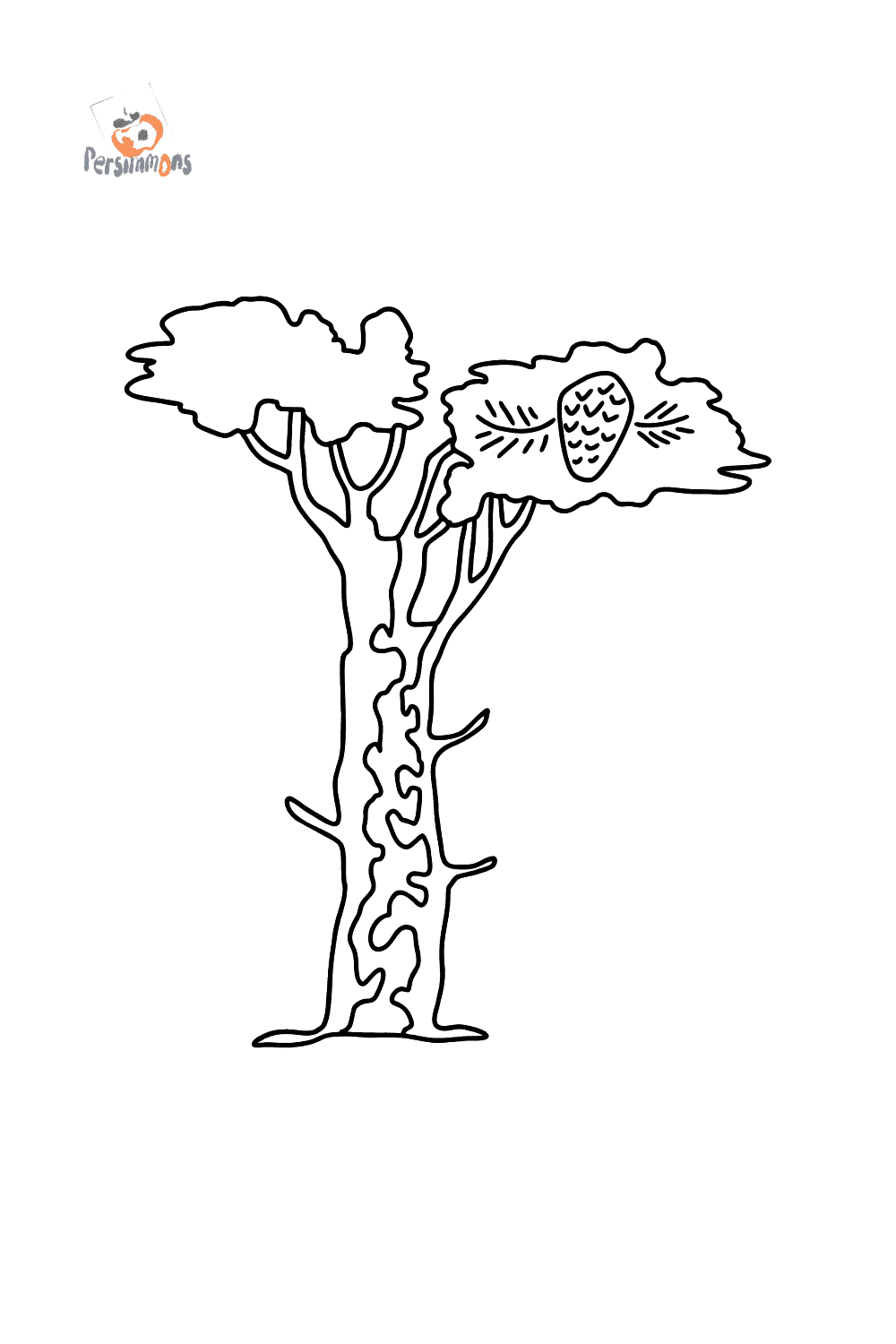 Kleurplaat cederboom - Online en uitprinten is gratis!