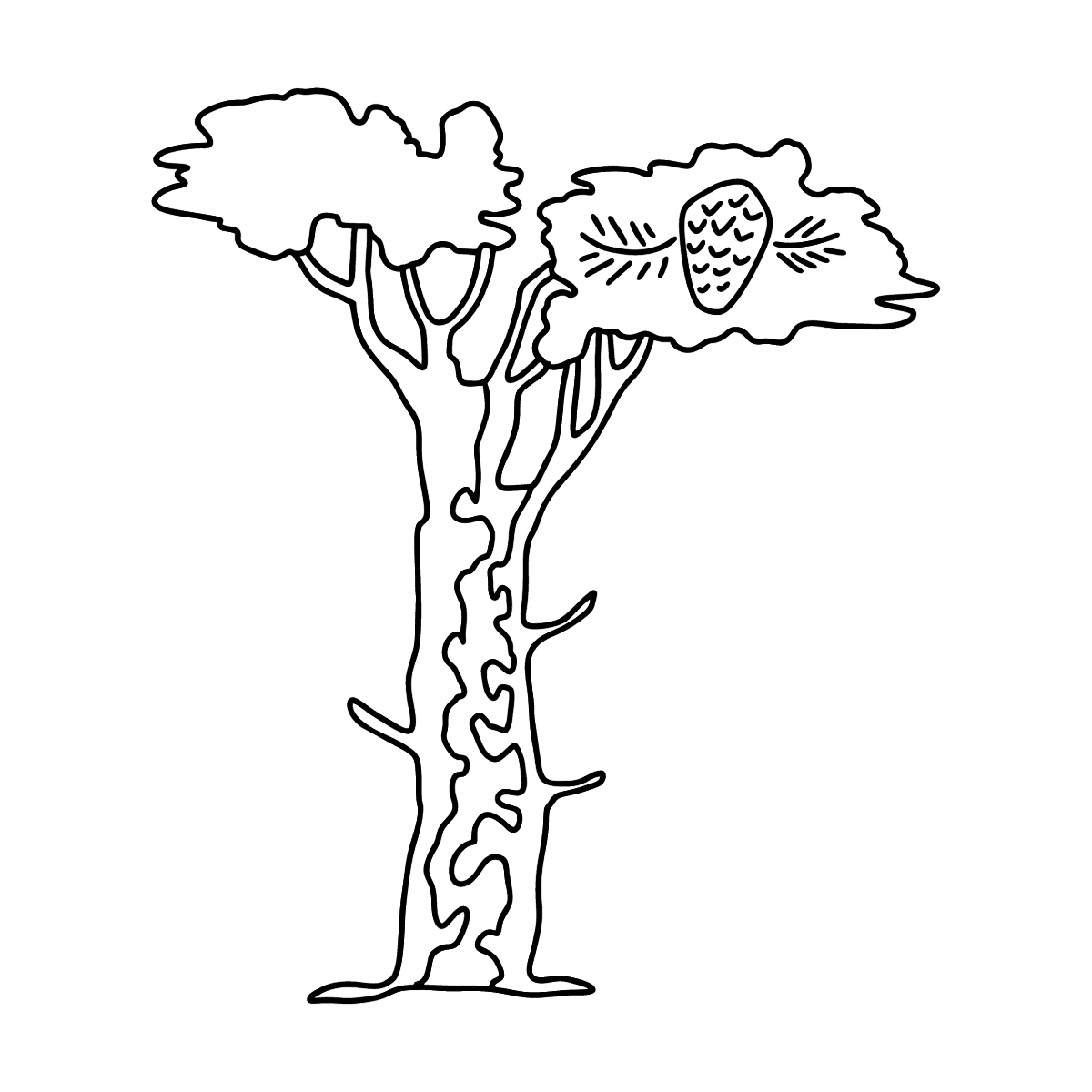 Dibujo de árbol de cedro para colorear Imprime y Colorea en Línea