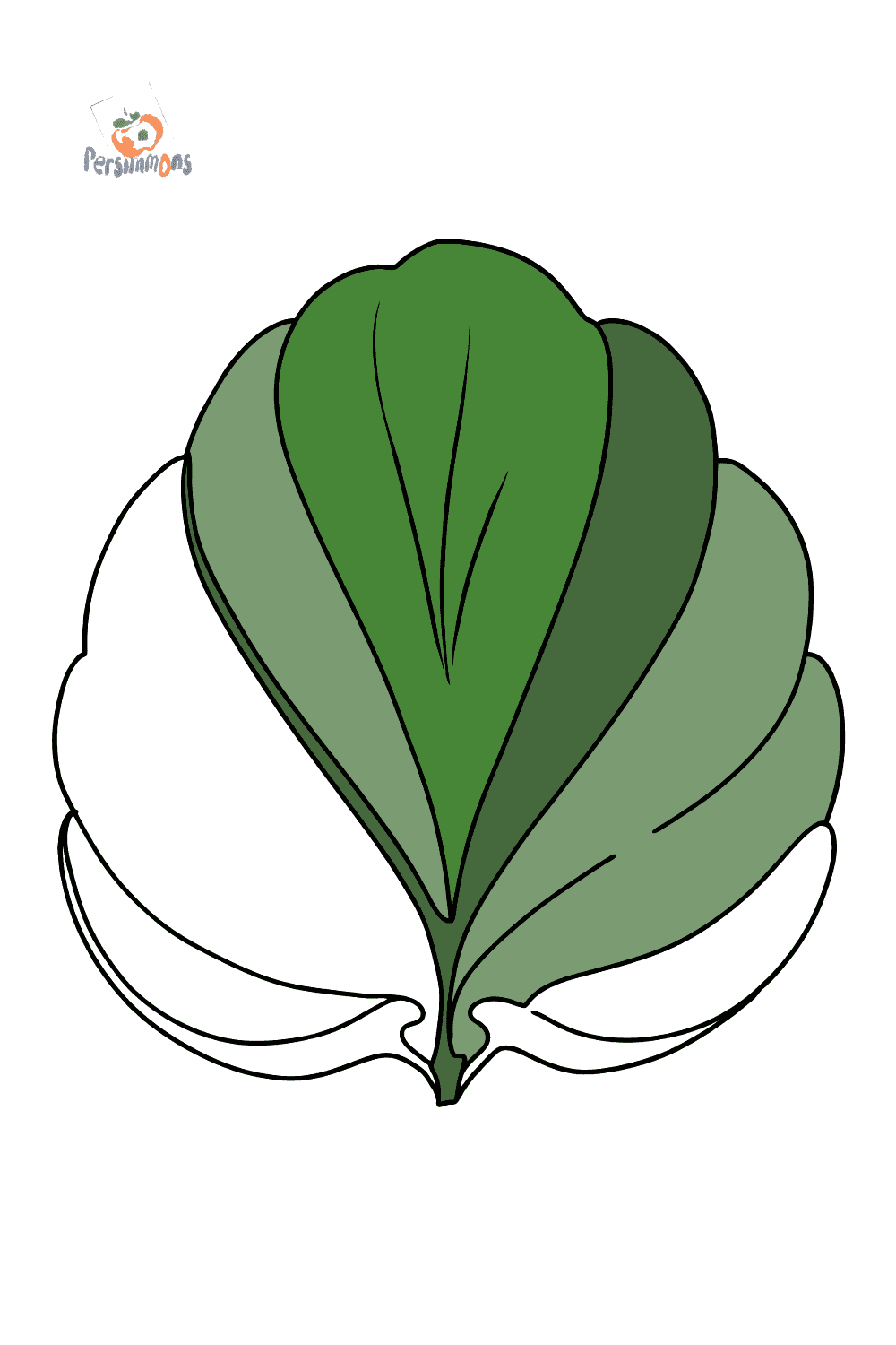Hosta Leaf coloring page ♥ Online and Print for Free!