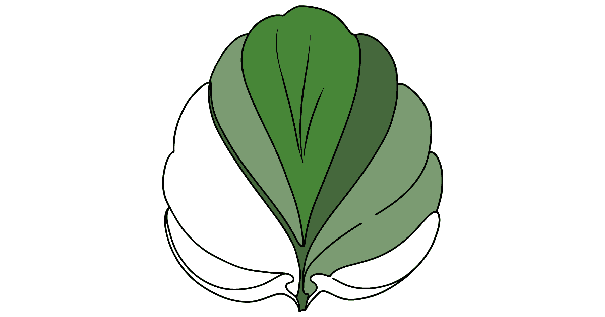 Hosta Leaf coloring page ♥ Online and Print for Free!