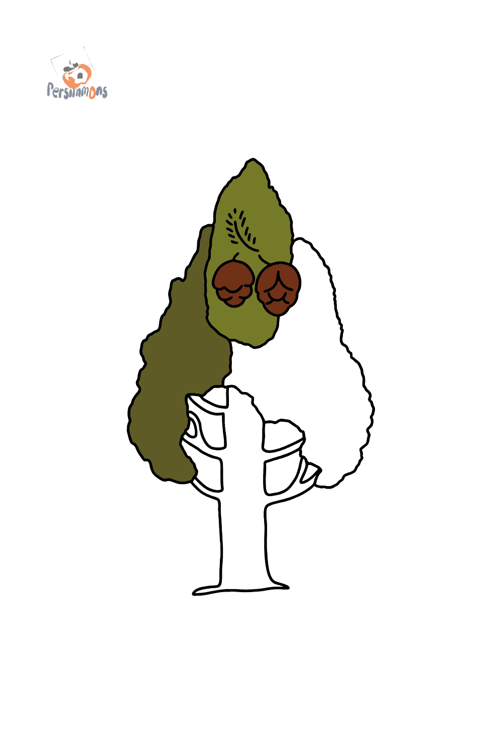 Larch coloring page for kids ♥ Online and Print for Free!