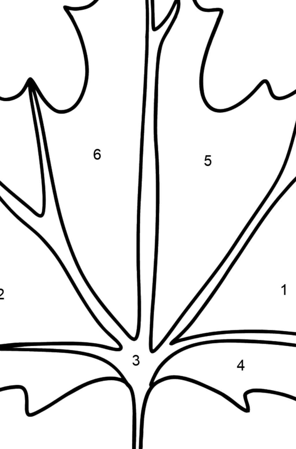 Maple Leaf coloring page ♥ Online and Print for Free!