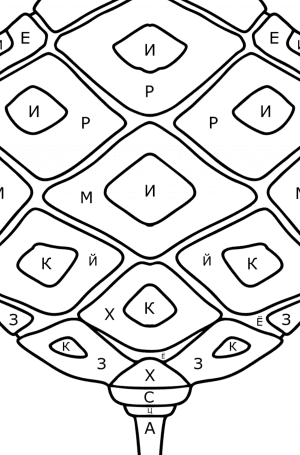 Раскраска Шишка секвойи ♥ Онлайн и Распечатать Бесплатно!