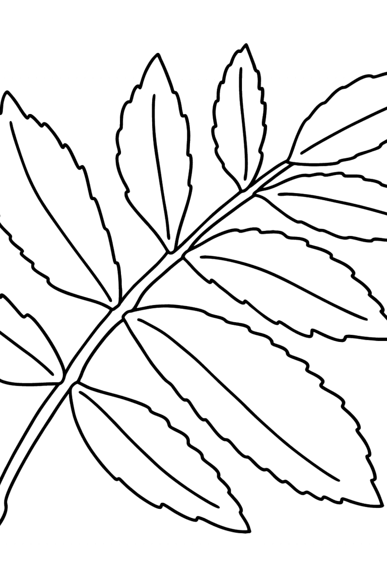 Mewarnai gambar pohon dan daun - Unduh, cetak, online!