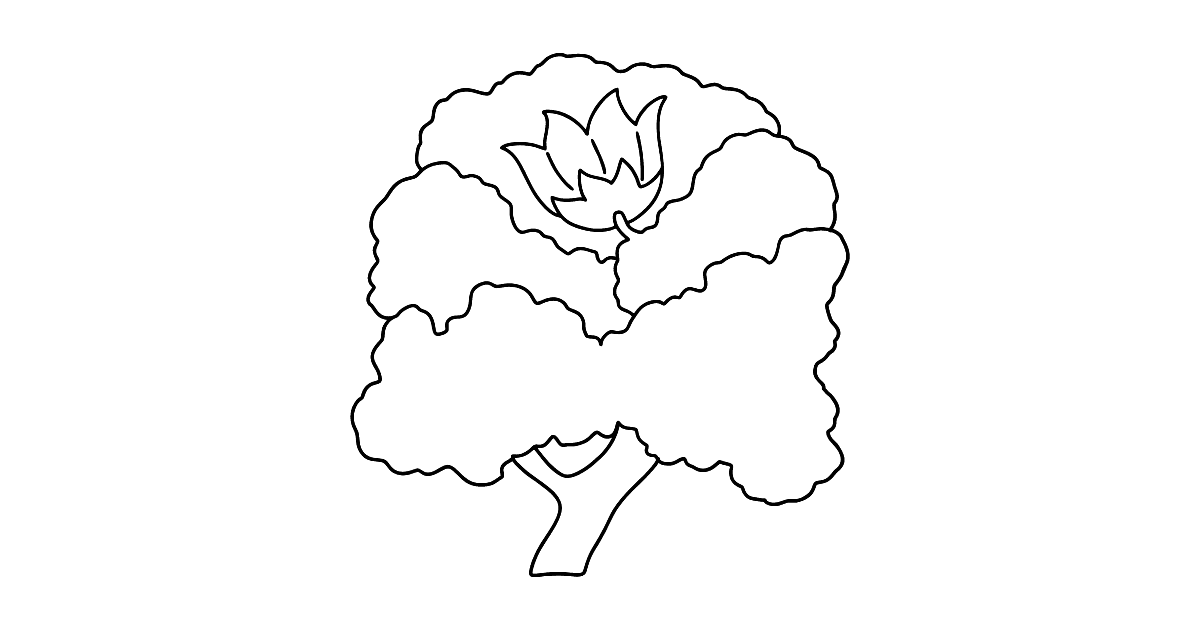 Tulip Tree coloring page ♥ Online and Print for Free!