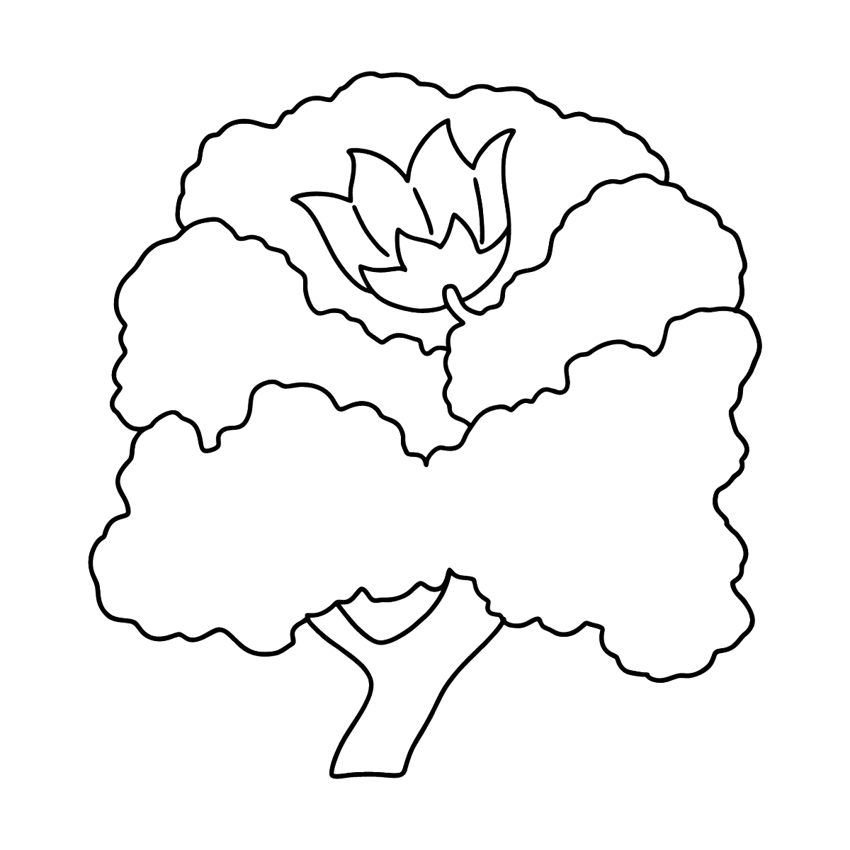Tulip Tree coloring page ♥ Online and Print for Free!