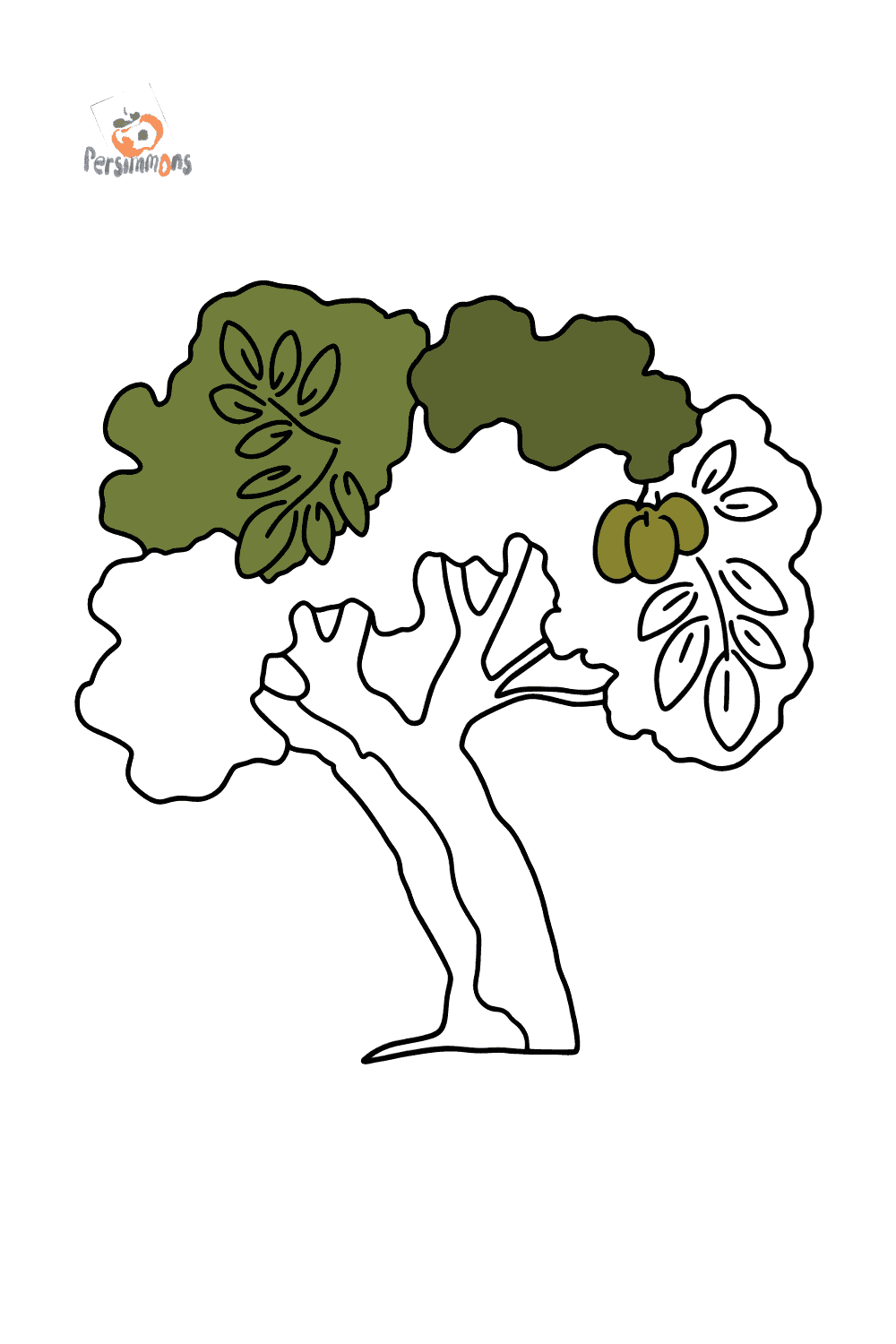 Boyama sayfası Ceviz ücretsiz | Coloring-for-Kids.com