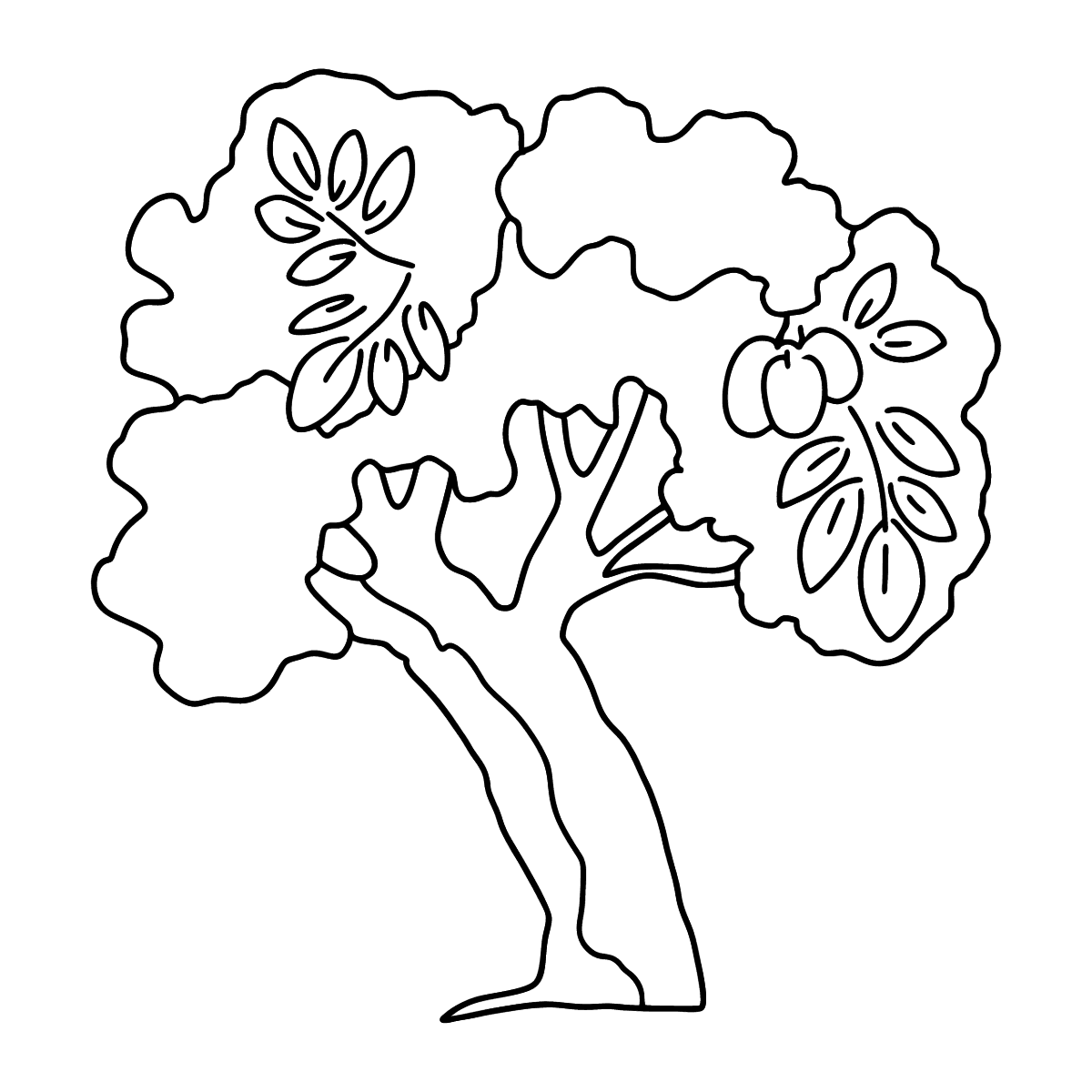 Walnut coloring page for kids ♥ Online and Print for Free!
