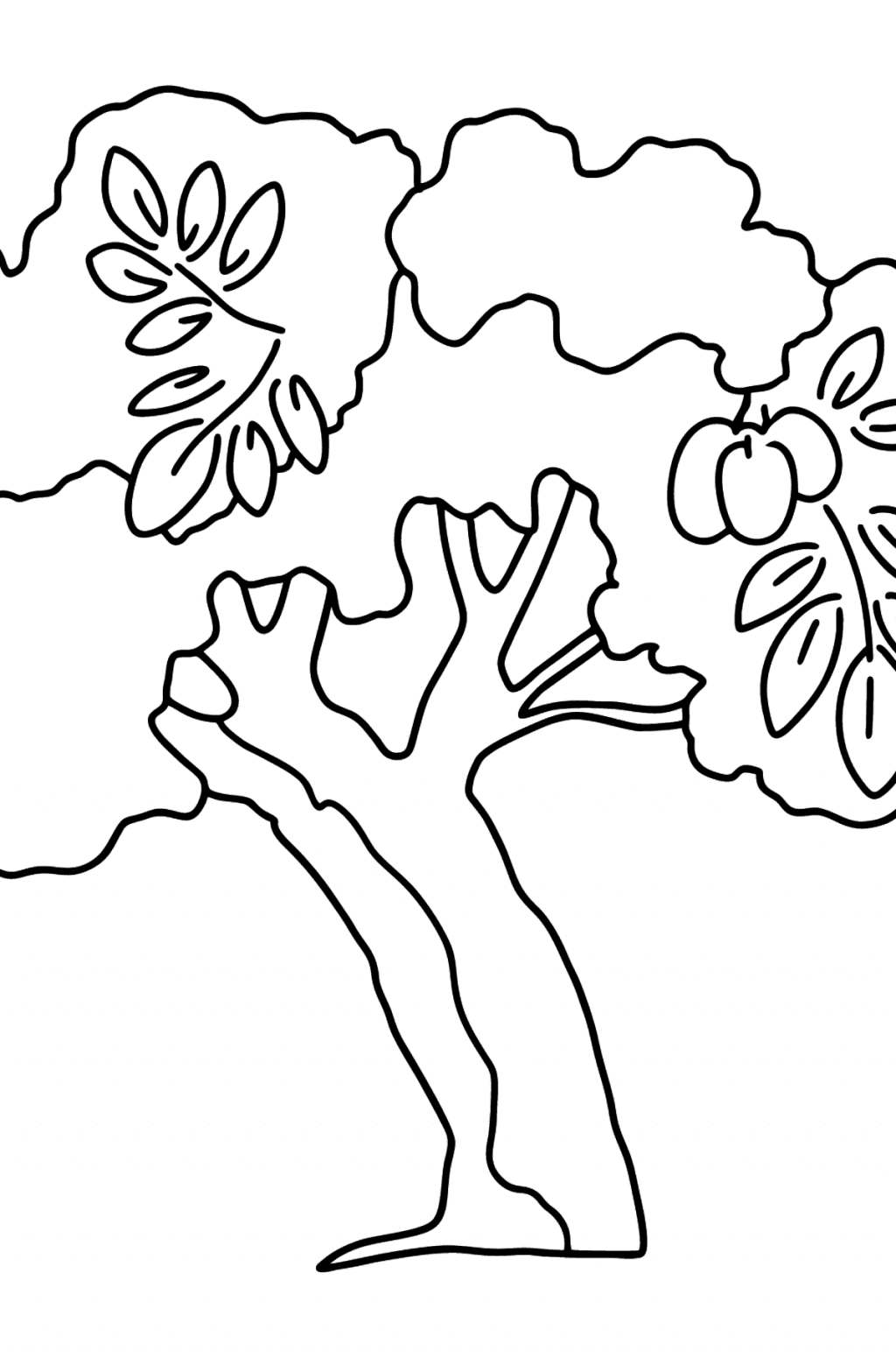 Walnut coloring page for kids ♥ Online and Print for Free!