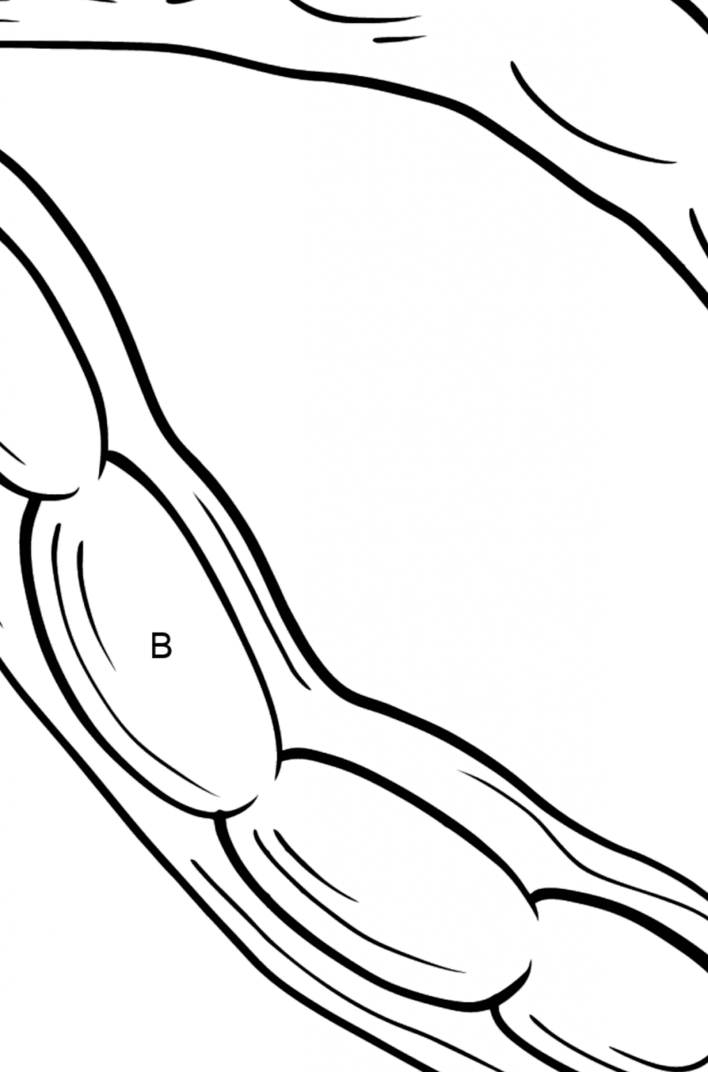Coloriage de haricots pour les enfants ♥ En ligne ou imprimer gratuit