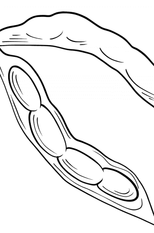 Página para colorir de feijão | Coloring-for-Kids.com