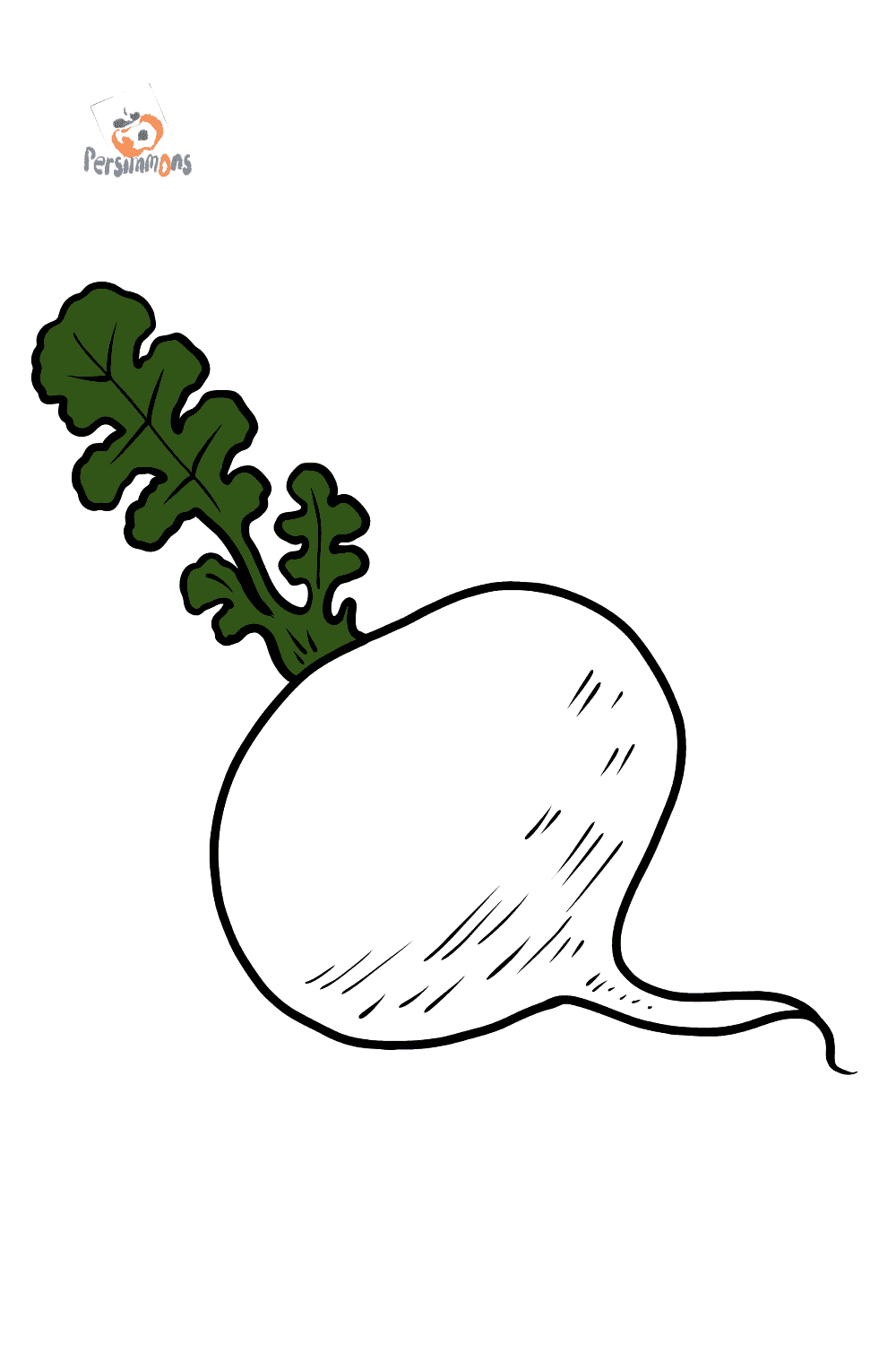 Black Radish coloring page ♥ Online and Printable for Free!