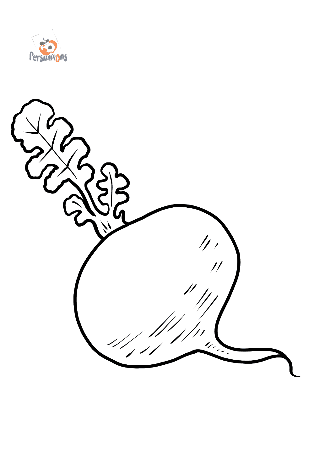Black Radish coloring page ♥ Online and Printable for Free!