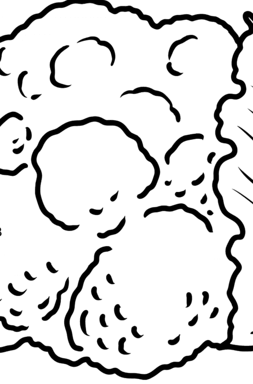 Cauliflower coloring page ♥ Online and Printable for Free!