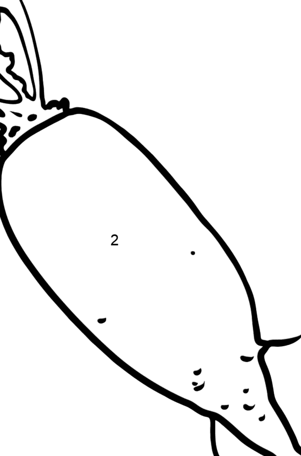 Daikon coloring page ♥ Online and Printable for Free!