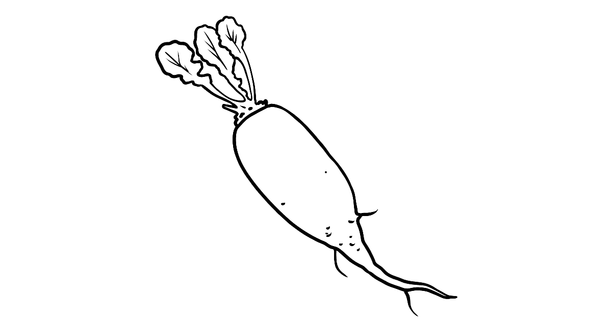 Daikon coloring page ♥ Online and Printable for Free!