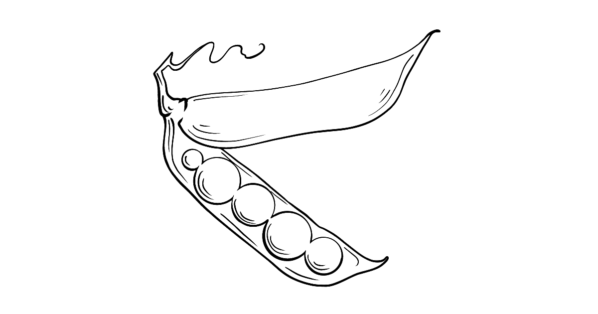 Peas Coloring Pages Coloring Pages | Pea With Leaf Coloring Page
