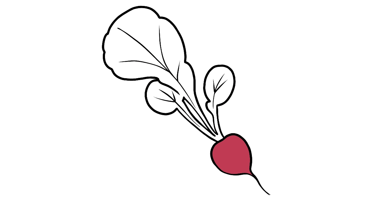 Radish coloring page ♥ Online and Printable for Free!