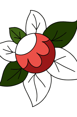 Zentangle Flowers coloring pages ♥ Online and Print for Free!